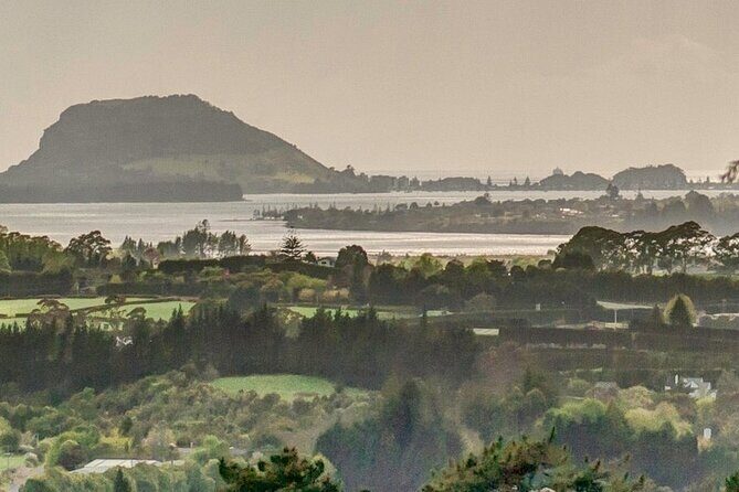 Explore Tauranga: Self-Guided Audio Tour - The Sum Up