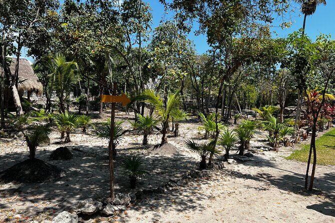 Explore the Ancient Wonders: Mayan Ruins 'El Meco' in Cancun - Key Points