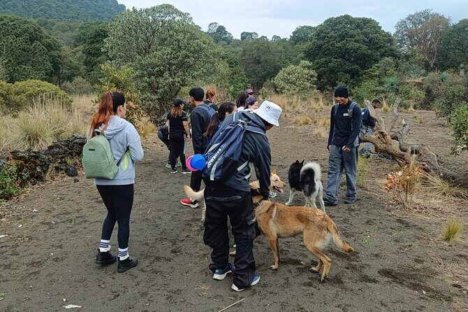 Explore the Caves of an Inactive Volcano on CDMX - Final Thoughts