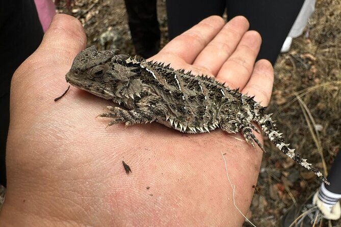 Explore the Caves of an Inactive Volcano on CDMX - FAQ