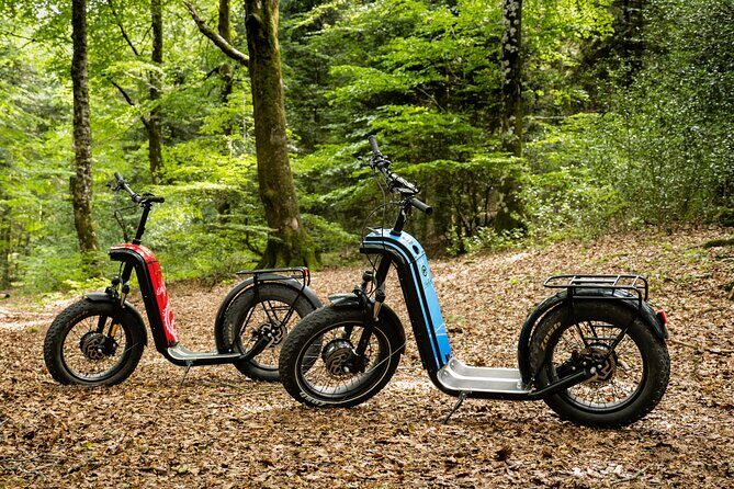 Explore the forests of Haut Languedoc on an electric scooter - FAQ