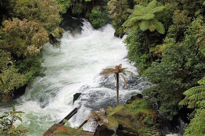 Explore The Lakes Tour - Why This Tour Resonates With Travelers