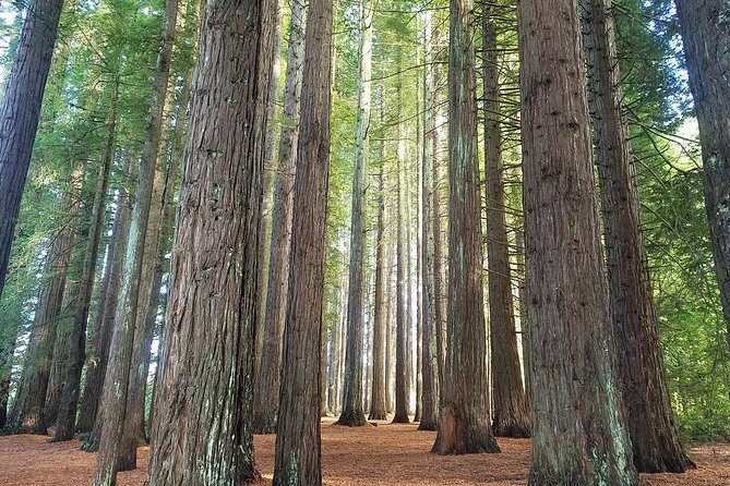 Explore The Lakes Tour - Final Thoughts: Who Will Love This Experience?