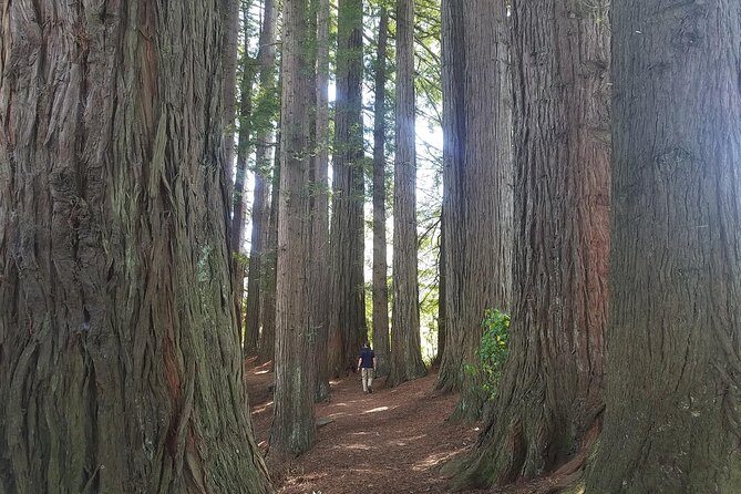 Explore The Lakes Tour - FAQ