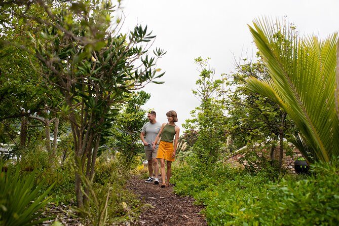Explore the legacy of artist, ecologist, architect, visionary - The Māori Cultural Connection