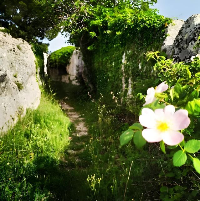 Explore the Murgia Materana UNESCO Park (Italiano & Espanol) - FAQ