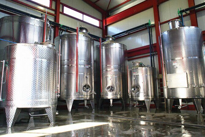 Explore the Secrets of Wine and Olives - Final Thoughts