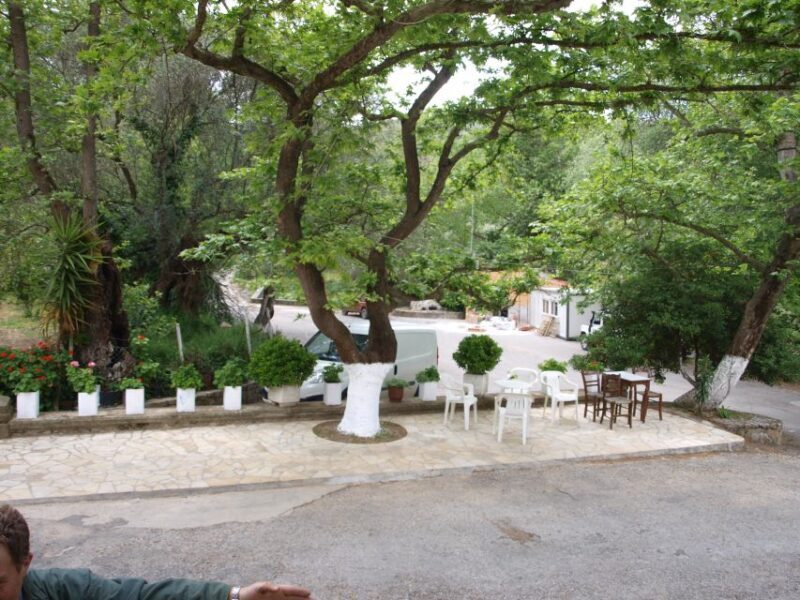 Explore the Secrets of Wine and Olives in Chania - Exploring the Secrets of Wine and Olives in Chania: A Deep Dive