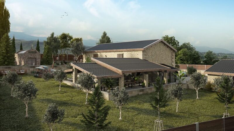 Explore the Secrets of Wine and Olives in Chania - The Sum Up