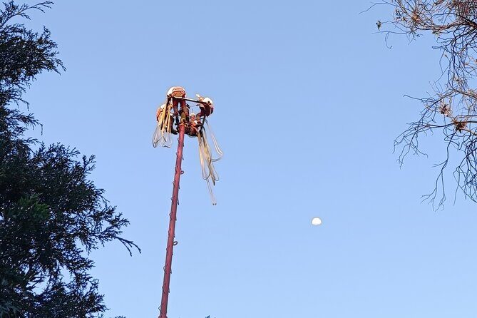 Explore the Underworld at the National Museum of Anthropology - Why This Tour Offers Value