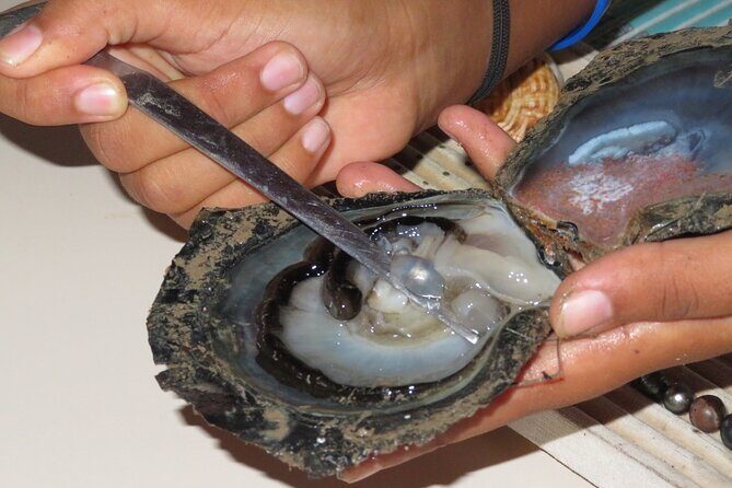 Explore the Vanilla Island Full-Day Tour to Tahaa from Bora Bora - Who Is This Tour For?