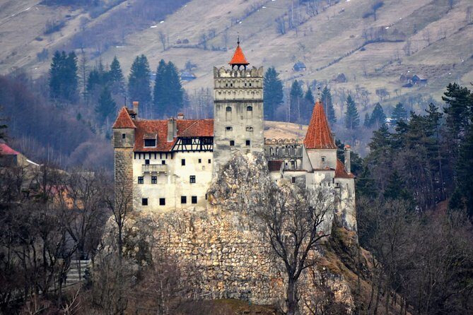 Explore Transylvania: Dracula, Peles Castle & Brasov Private Tour - The Experience of a Private, Guided Tour
