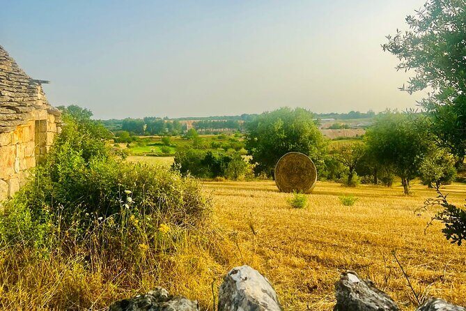 Explore trulli and nature with your personal fitness coach - Why This Tour Offers Great Value