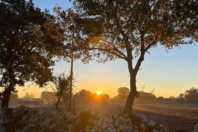 Explore trulli and nature with your personal fitness coach - FAQ