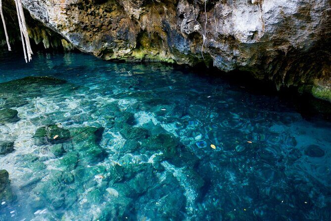 Explore Tulum and Dos Ojos Cenote with lunch and transportation - The Experience from Travelers’ Perspectives