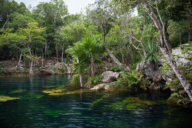 Explore Tulum Ruins and Cenote Jungle Adventure from Cancún - Who Is This Tour Best For?