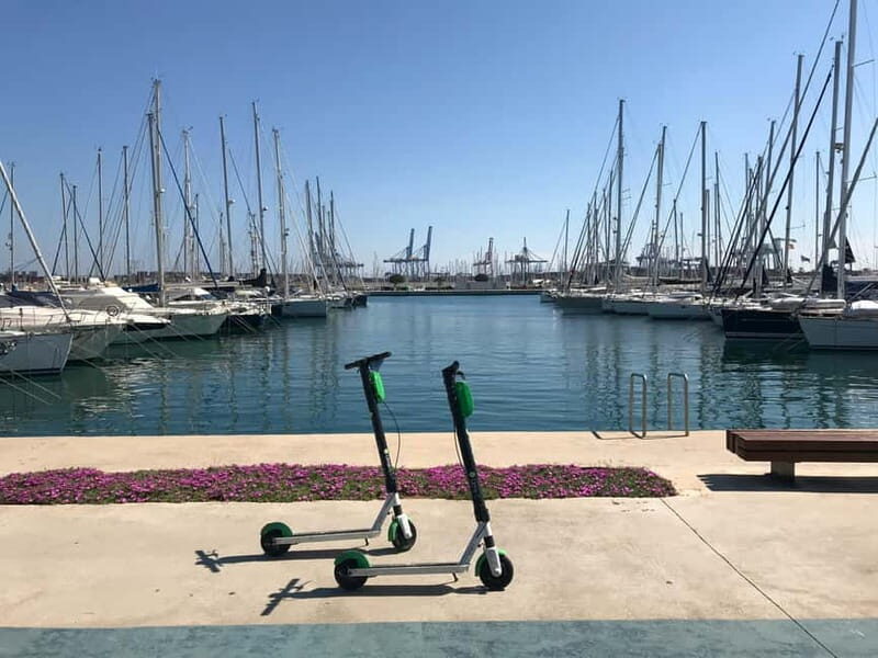 Explore Valencias Coast: Boat trip to Valencian Venice - Insights from Real Reviews
