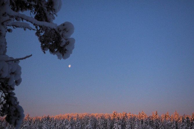 Explore Winter Woods: Snowshoe walk with local Biologist - Why This Tour Offers Great Value
