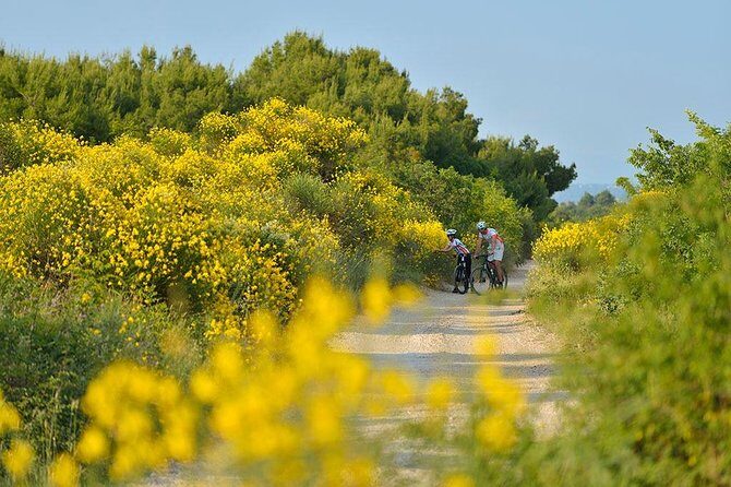 Exploring Vodice on Two Wheels - A Complete Look at the Vodice Bike Tour Experience