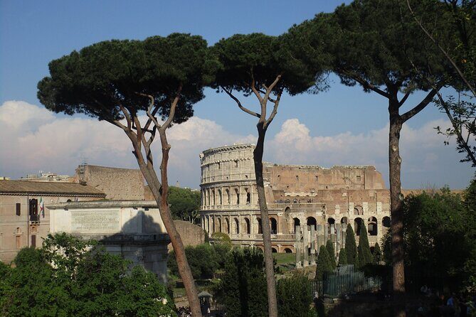 Express Colosseum Tour& Ancient Rome Access - Real-World Insights From Travelers
