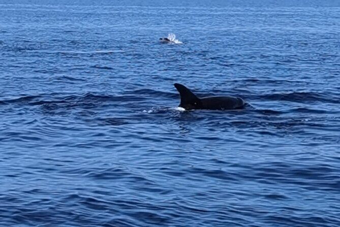 Express tour to Benagil Cave & Marinha - Final Words