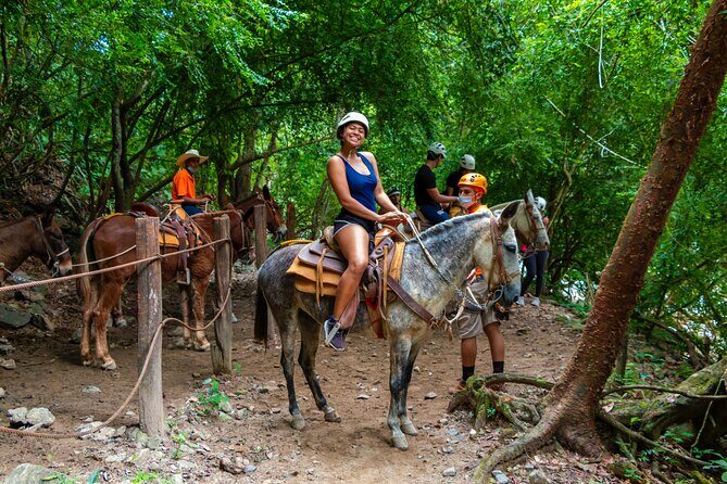 Express zips + Longest suspension bridge, ideal cruisers - Additional Activities and Amenities