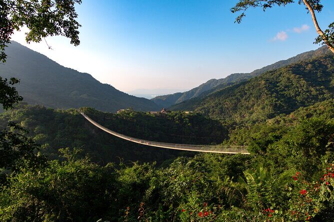 Express zips + Longest suspension bridge, ideal cruisers - What Do Reviewers Say?