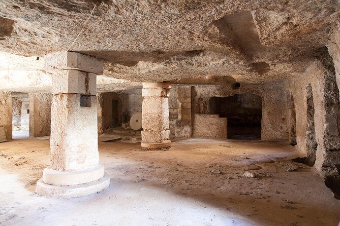 Extra virgin Savoy Tour and olive oil tasting - FASANO - The Experience: What Sets It Apart