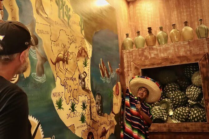 Extraordinary Cancun Van City Tour - Included Transportation - Who Will Love This Tour?