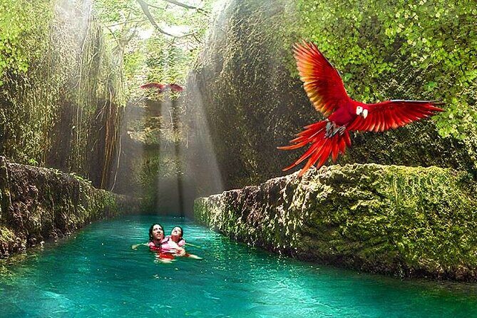 Extraordinary Xcaret Plus Tour with Transportation from Riviera Maya & Cancún - Final Thoughts