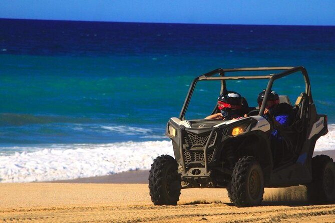 Extreme Razor Dune adventure and Tacos in Cabo San Lucas - Who Should Book This Tour?