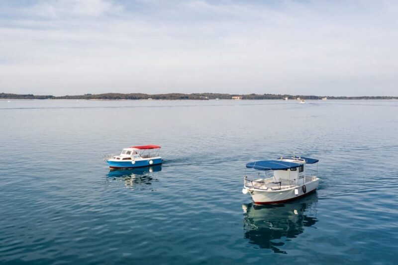 FAANA: Brijuni boat trip+stop & Swim at St. Jerolim Island - Introduction: Discover Brijuni from the Water