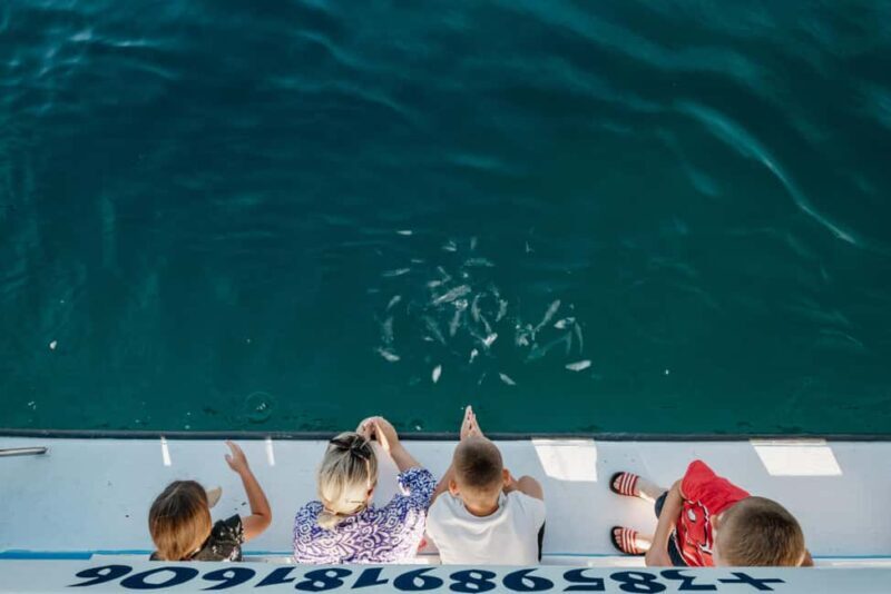 Faana: Glass Boat Tour of Brijuni National Park - Key Points