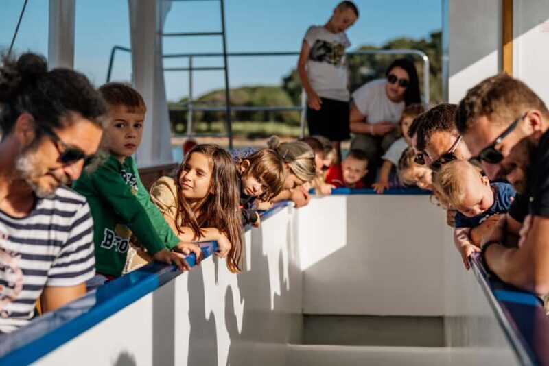 Faana: Glass Boat Tour of Brijuni National Park - Why You’ll Love the Faana Glass Boat Tour