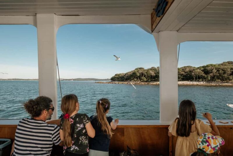 Faana: Glass Boat Tour of Brijuni National Park - The Value of a Short Scenic Cruise