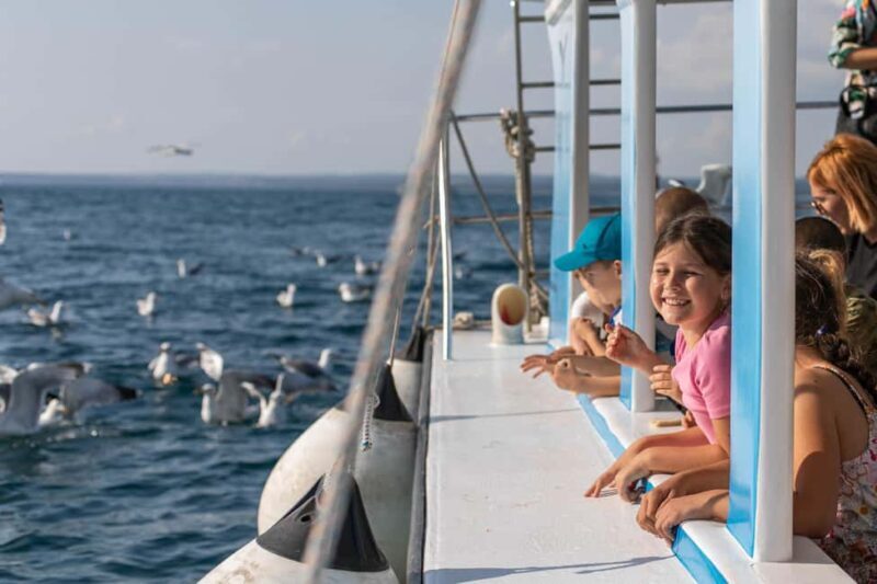 FAANA: PANORAMA NP BRIJUNI AND ISLAND SWIMMING STOP - Possible Drawbacks or Considerations