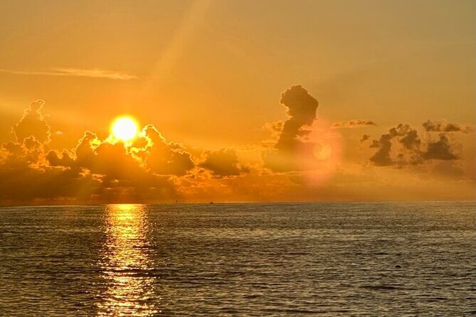 Fabulous Florida Sunset Tour Including Dolphins - Final Thoughts