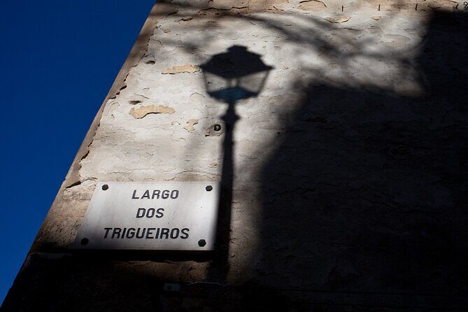 Fado: A Story of Thugs, Harlots and Poets - Private Walking Tour - Key Points  