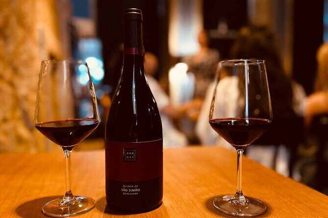 Fado Concert with Welcome Drink - An Overview of the Experience