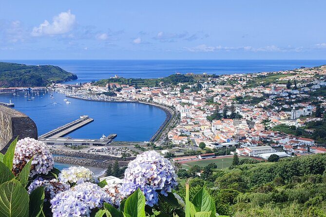 Faial Island: Full-Day Premium Private Tour - Key Points