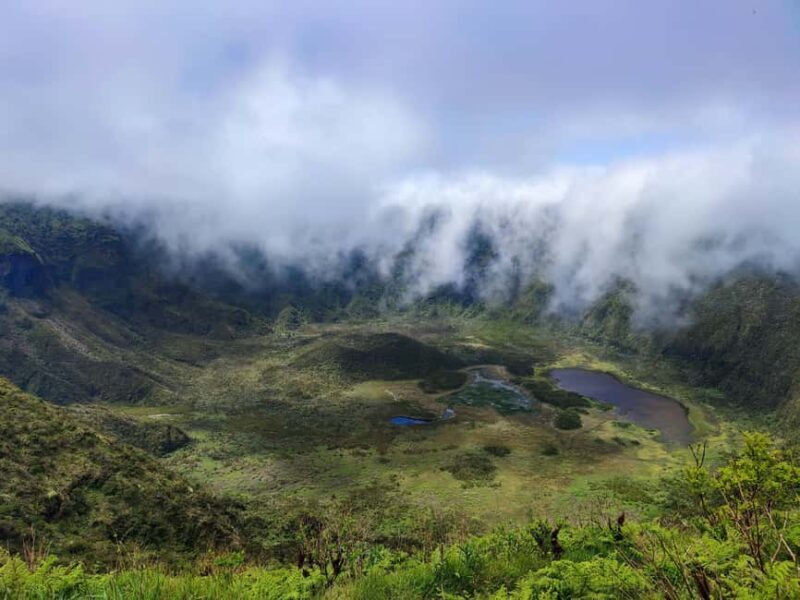 Faial Island: Full-Day Tour - Nature & Local Culture - Overall Value and Experience