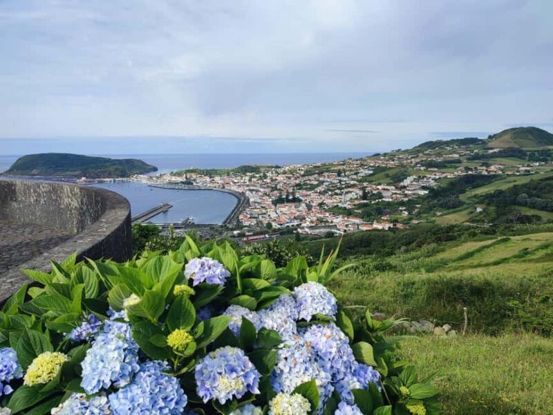 Faial Island: Full-Day Tour - Nature & Local Culture - Practical Tips for the Tour