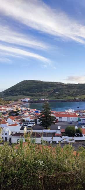 Faial Island: Full-Day Tour - Nature & Local Culture - Who Should Book This Tour?