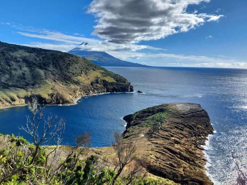 Faial Island: Full-Day Tour - Nature & Local Culture - FAQ