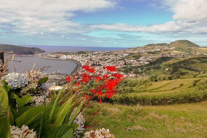 Faial Island: Half Day Tour - FAQ