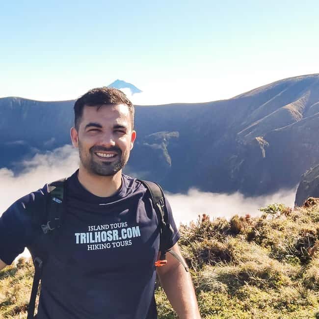 Faial Island Highlights: Half-Day Guided Tour - Discovering the Heart of Faial: A Detailed Look at the Tour