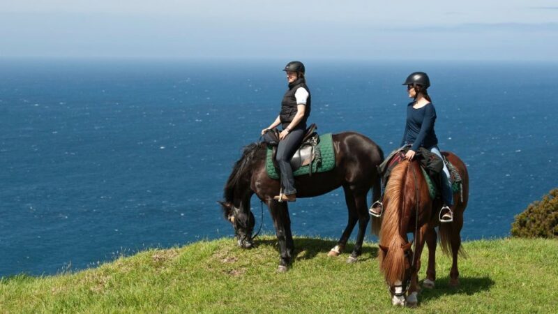 Faial Island: Horseback Riding (3 hrs - Experienced Riders) - Key Points