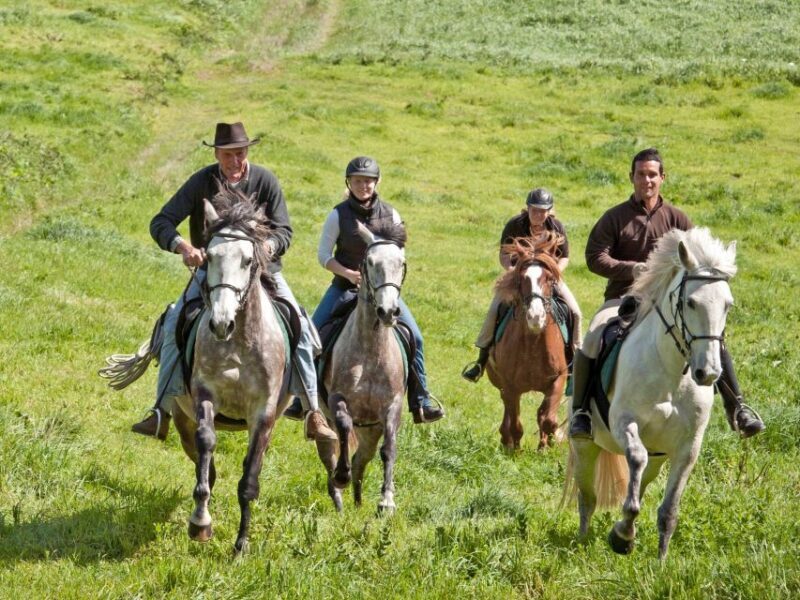 Faial Island: Horseback Riding (3 hrs - Experienced Riders) - An In-Depth Look at the Faial Horseback Riding Experience