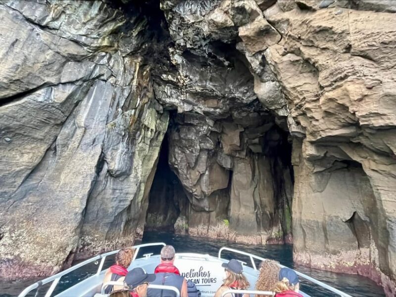 Faial Island: Unique boat tour to the Capelinhos volcano - Key Points