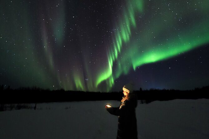 Fairbanks Aurora Borealis Night Tour - Authentic Experiences and Authenticity of Reviews